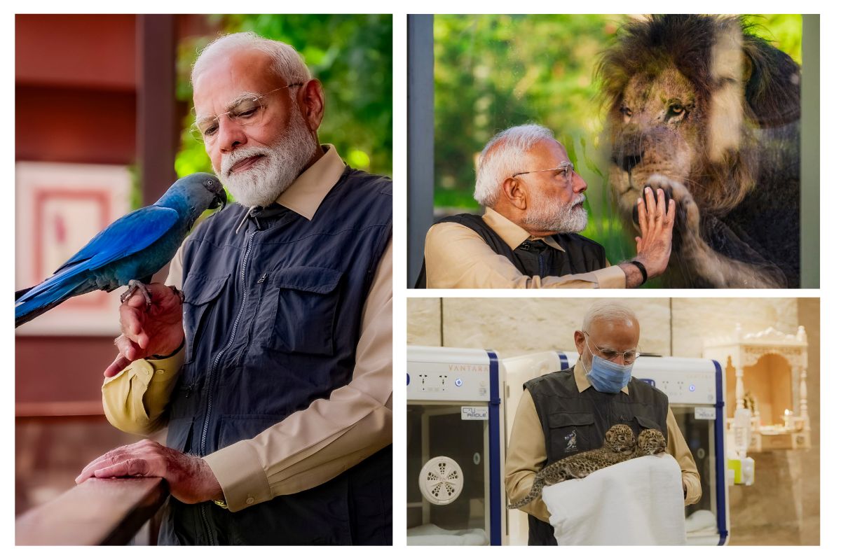 In Pictures | PM Modi inaugurates animal rescue centre - Vantara, feeds ...
