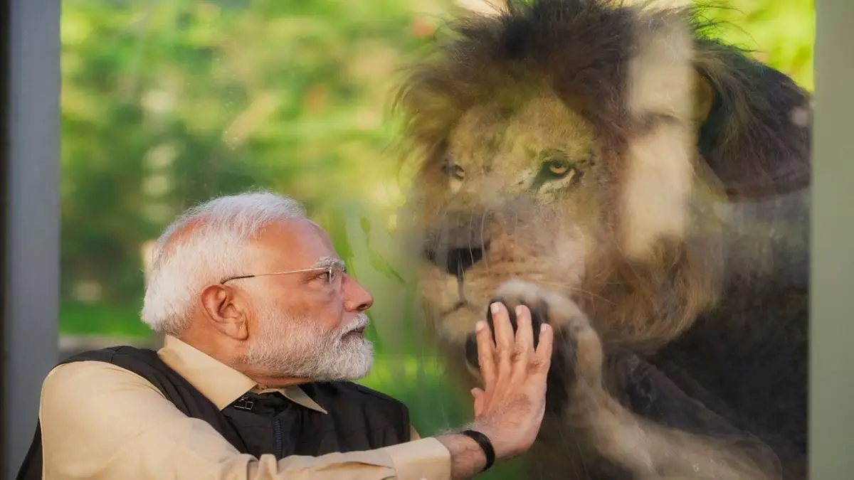 PM Modi inaugurates Ambani-owned wildlife rescue and rehabilitation ...