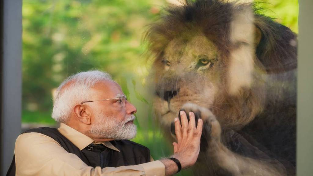 PM Modi inaugurates Ambani-owned wildlife rescue and rehabilitation ...