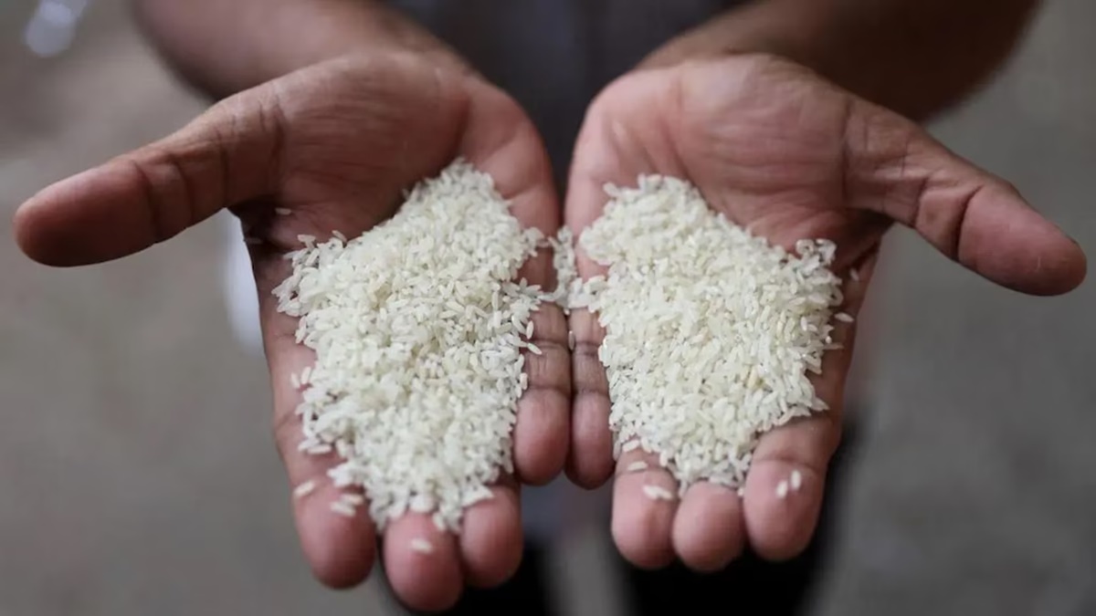 Resumption of broken rice exports to boost growth in west Africa ...