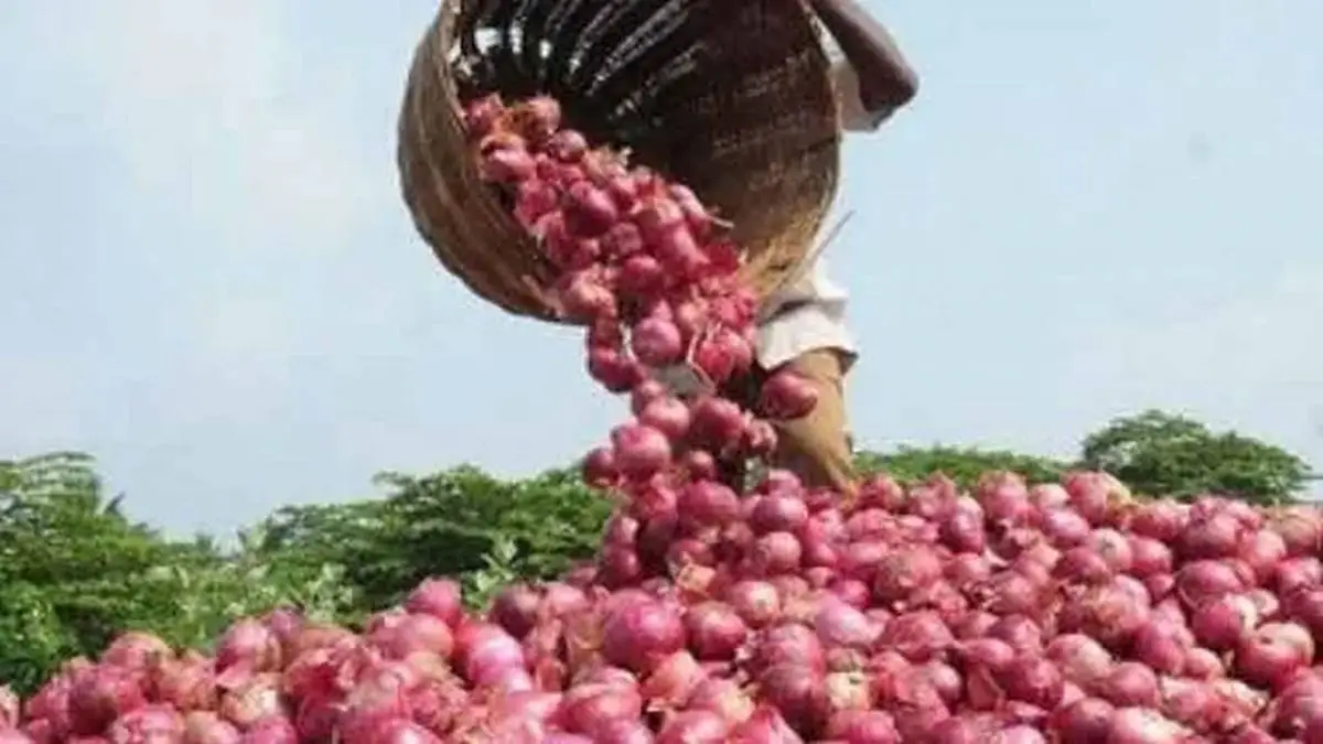 With bumper rabi crop, central government withdraws 20% duty on onion exports effective April 1 ...
