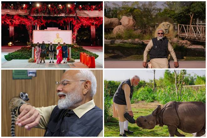 PM Modi inaugurates Ambani-owned wildlife rescue and rehabilitation ...