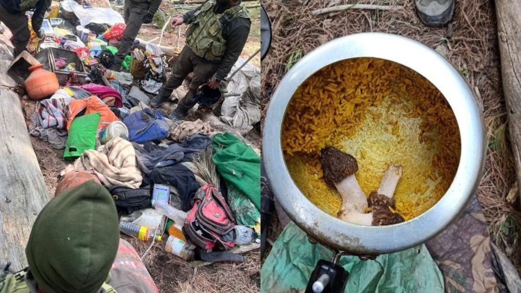 Terrorist hideout busted in Kulgam after Tangmarg area encounter - India News | The Financial ...