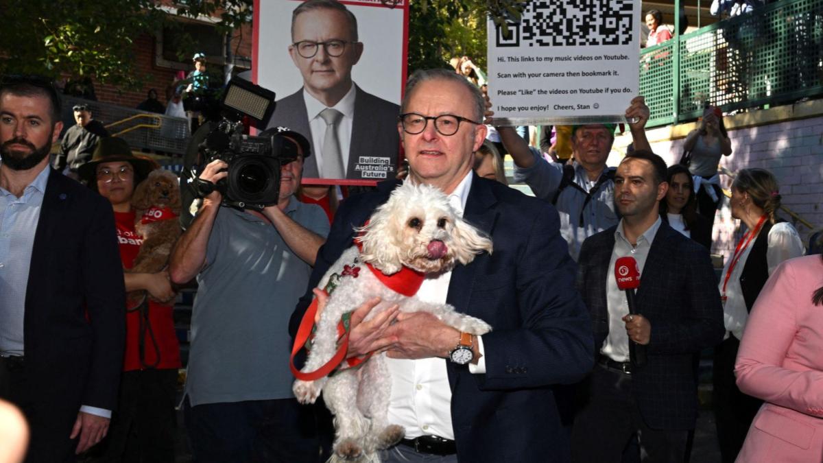 Australia Election: Anthony Albanese return as Prime Minister as left-leaning Labor wins for ...