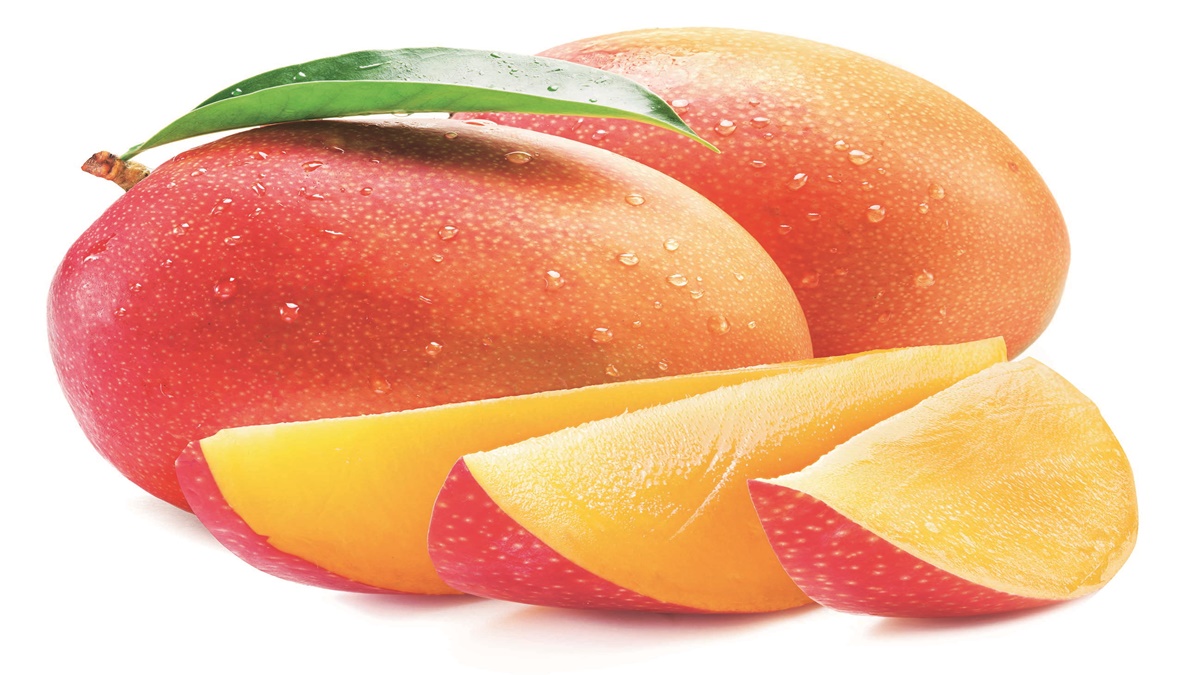Indian mango exporters suffer Rs 4.2 crore loss as US rejects 15 ...