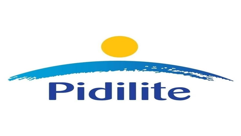 Pidilite to add more shades to paints business - Industry News | The ...