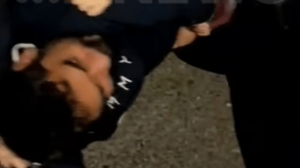 'I’ve done nothing wrong': Indian-origin man on life support after violent police arrest in ...