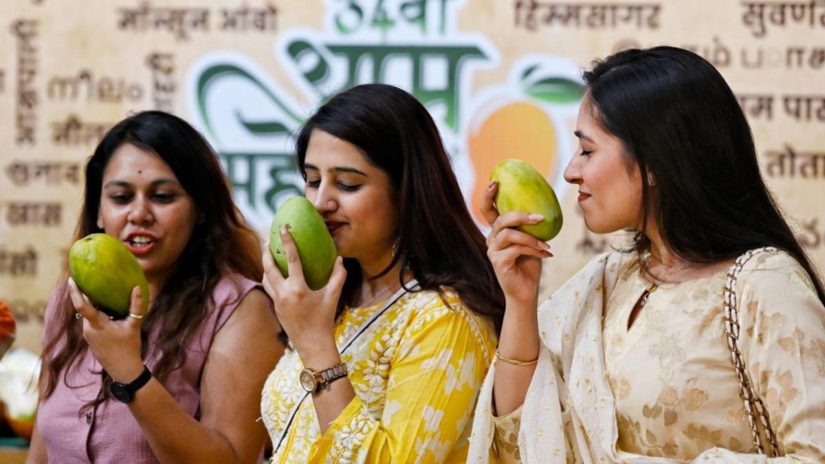 Weekend gets better as Delhi's Mango Festival kicks off - Check venue ...