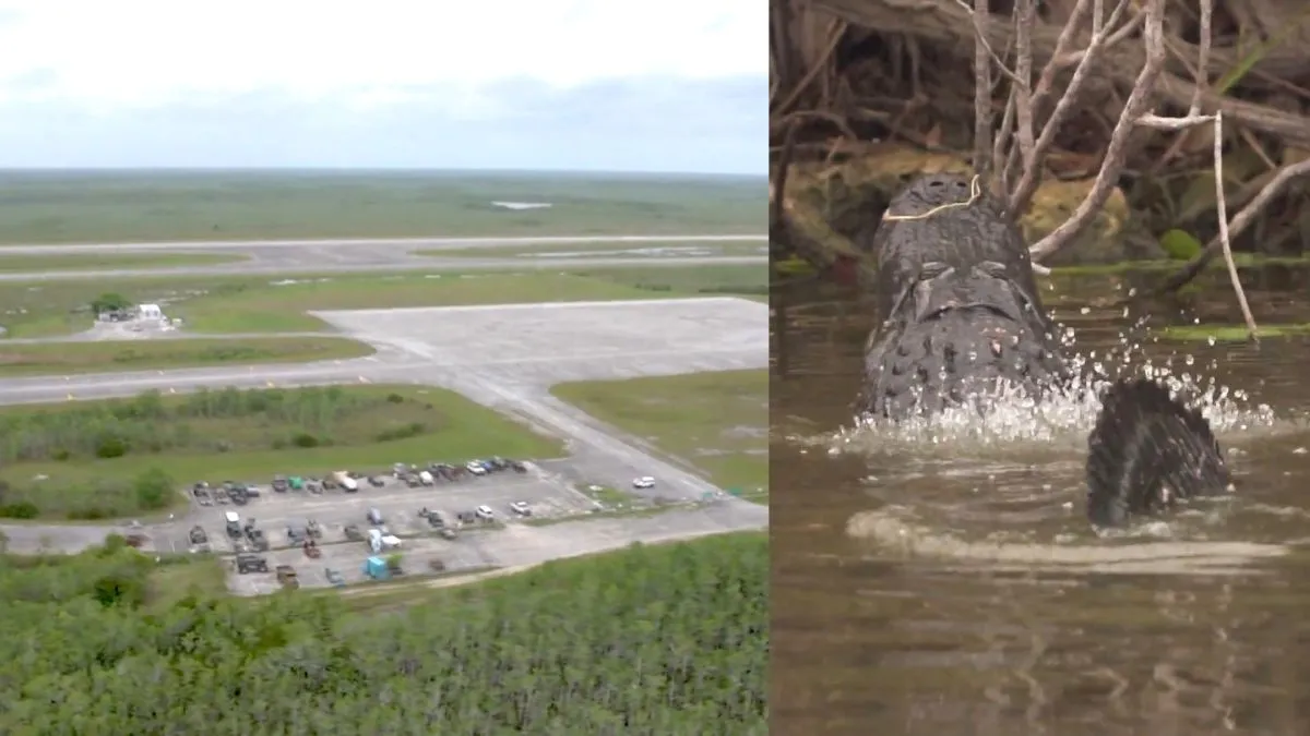 Inside Alligator Alcatraz': Florida is building a massive detention ...