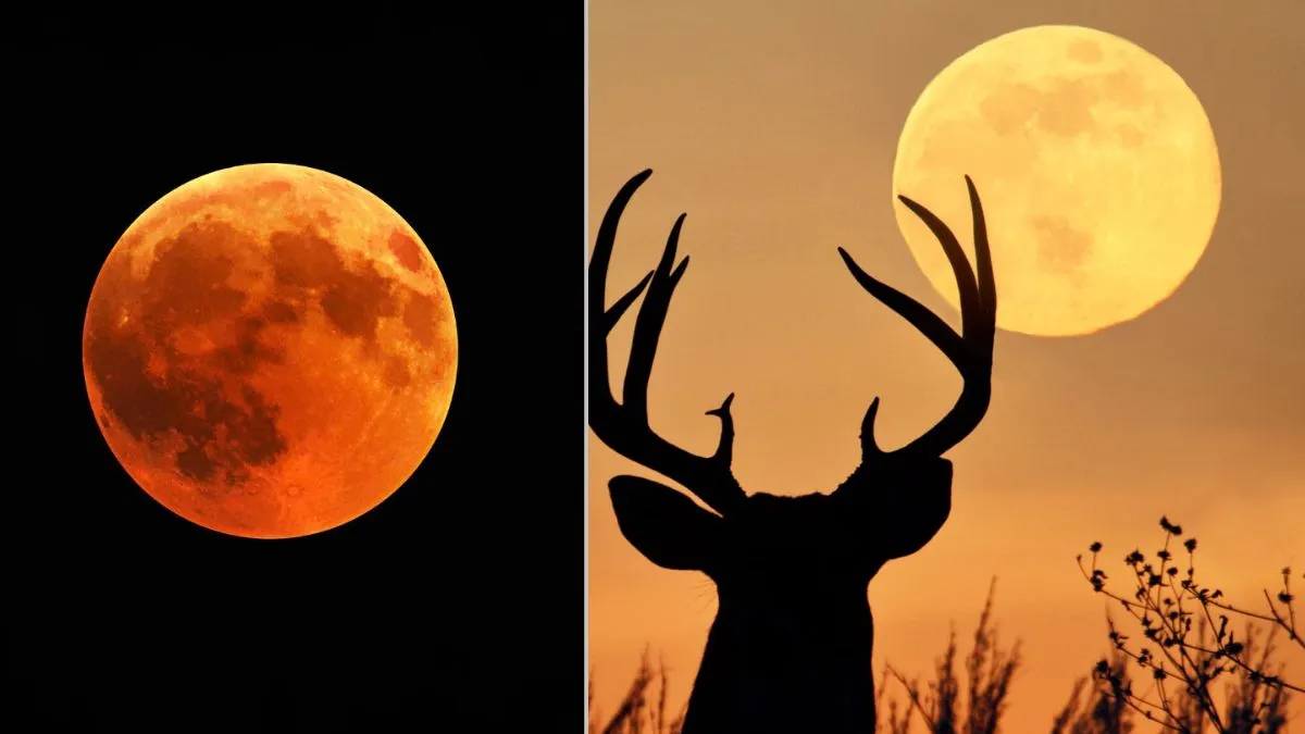 July’s full buck moon 2025 - Everything you need to know about the low ...