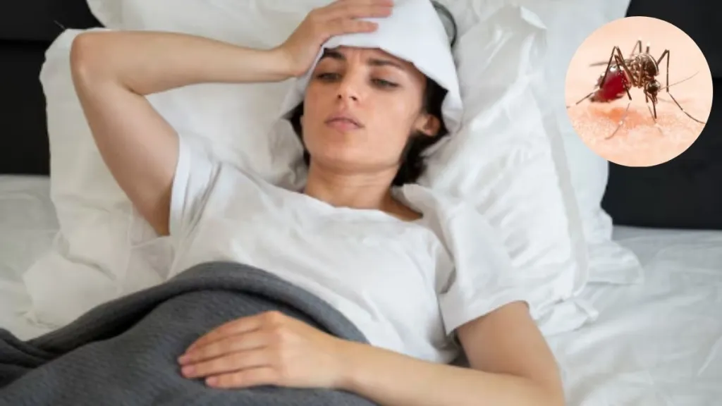 Delhi Malaria cases at 5-year high; Dengue, Chikungunya spread worsens - Healthcare News | The ...