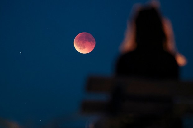 Blood Moon enchants skywatchers: Magnificent pictures of the rare total ...